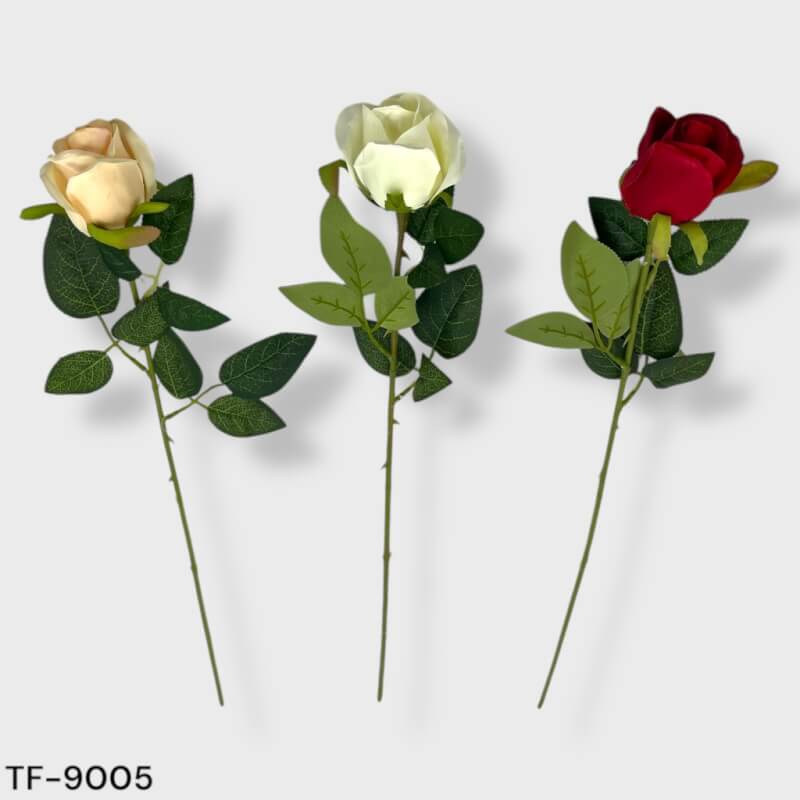 Todoflor - PIMPOLLO DE ROSA (63CM)